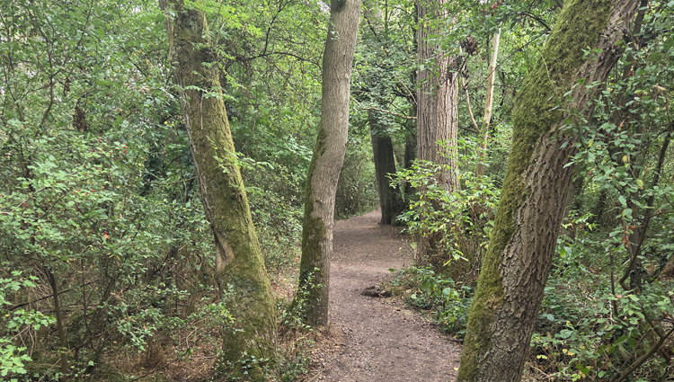 Phoenix : Bedfordshire - BATRAN