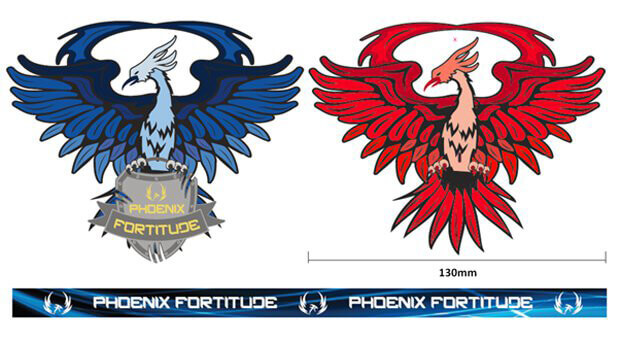 Phoenix Running: 5k to Marathon, Ultra & Multi-Day Timed Endurance ...