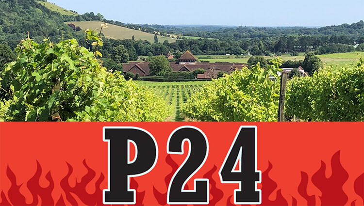 Phoenix Running: 5k to Marathon, Ultra & Multi-Day Timed Endurance ...