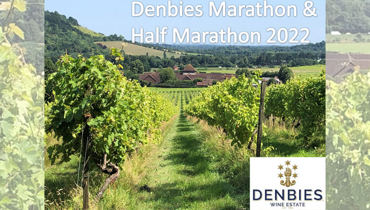 Phoenix Running: 5k to Marathon, Ultra & Multi-Day Timed Endurance ...